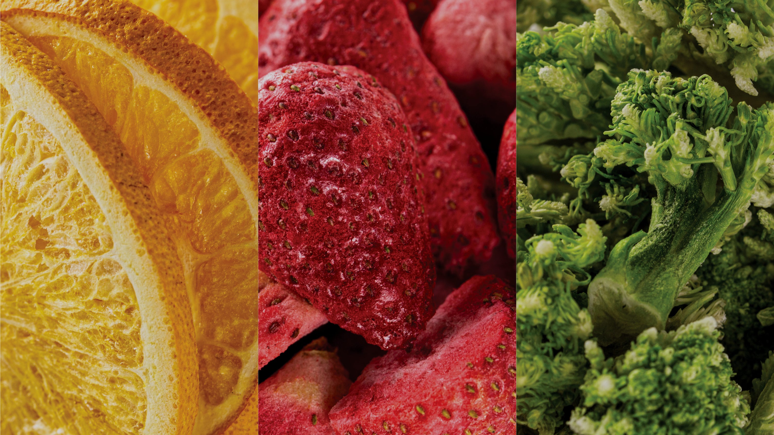 Forager Foods - Online Store