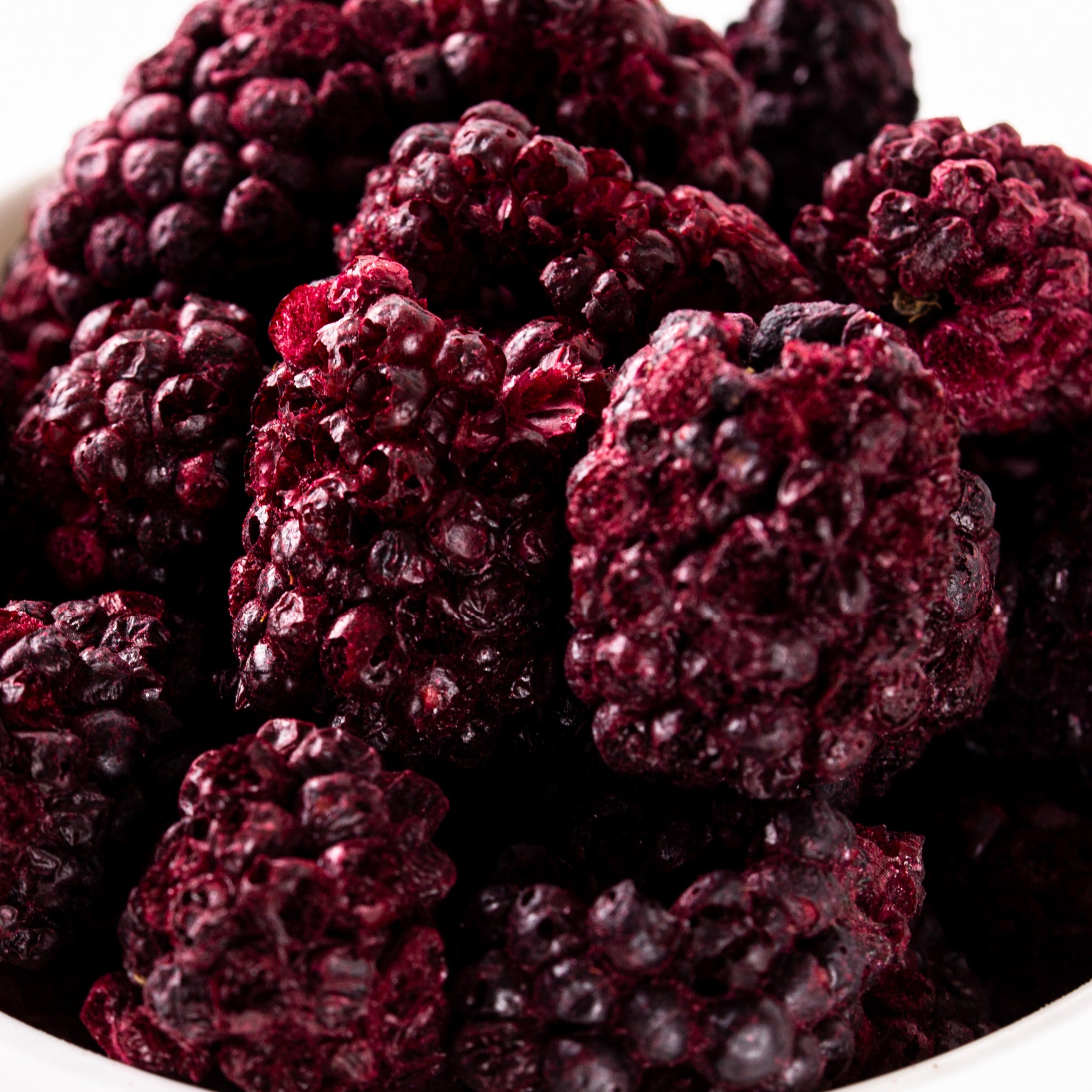 Freeze Dried Blackberry – Forager Foods